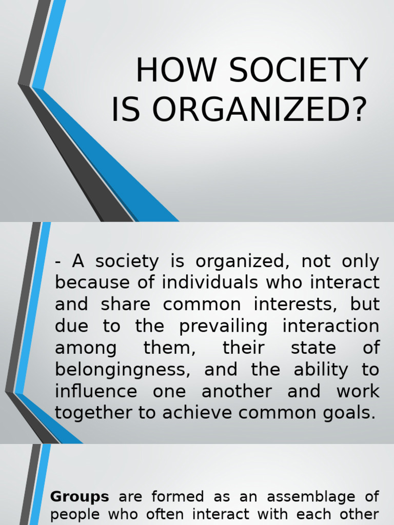 How Society Is Organized | PDF