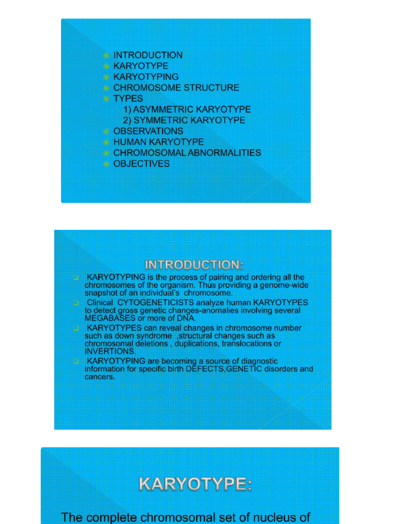 Karyotypes | PDF