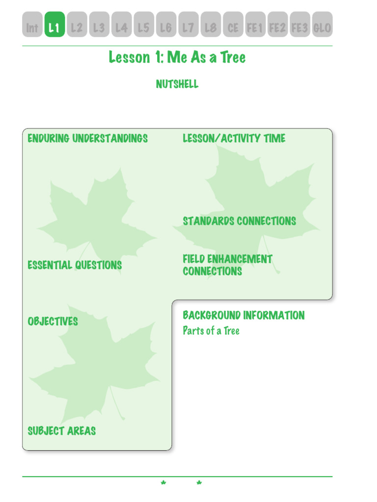 grade 2 tree | PDF | Trees | Root
