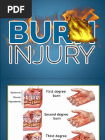 Intro To Fsis | PDF | Fire Safety