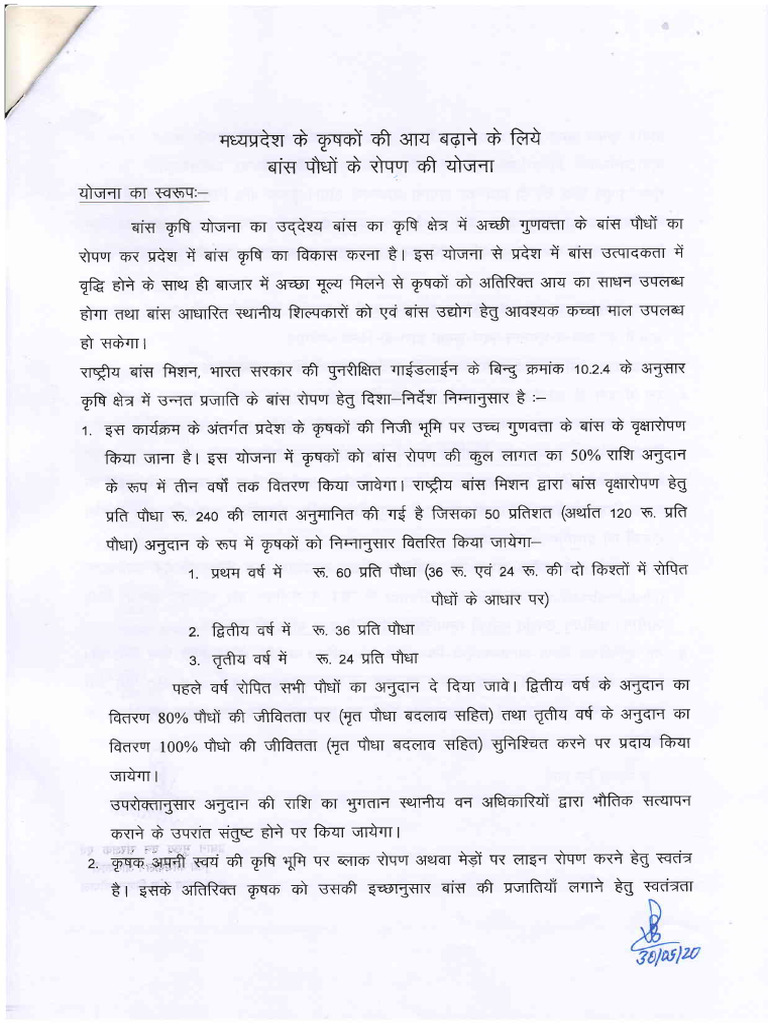 Bamboo Plants Scheme - Details | PDF