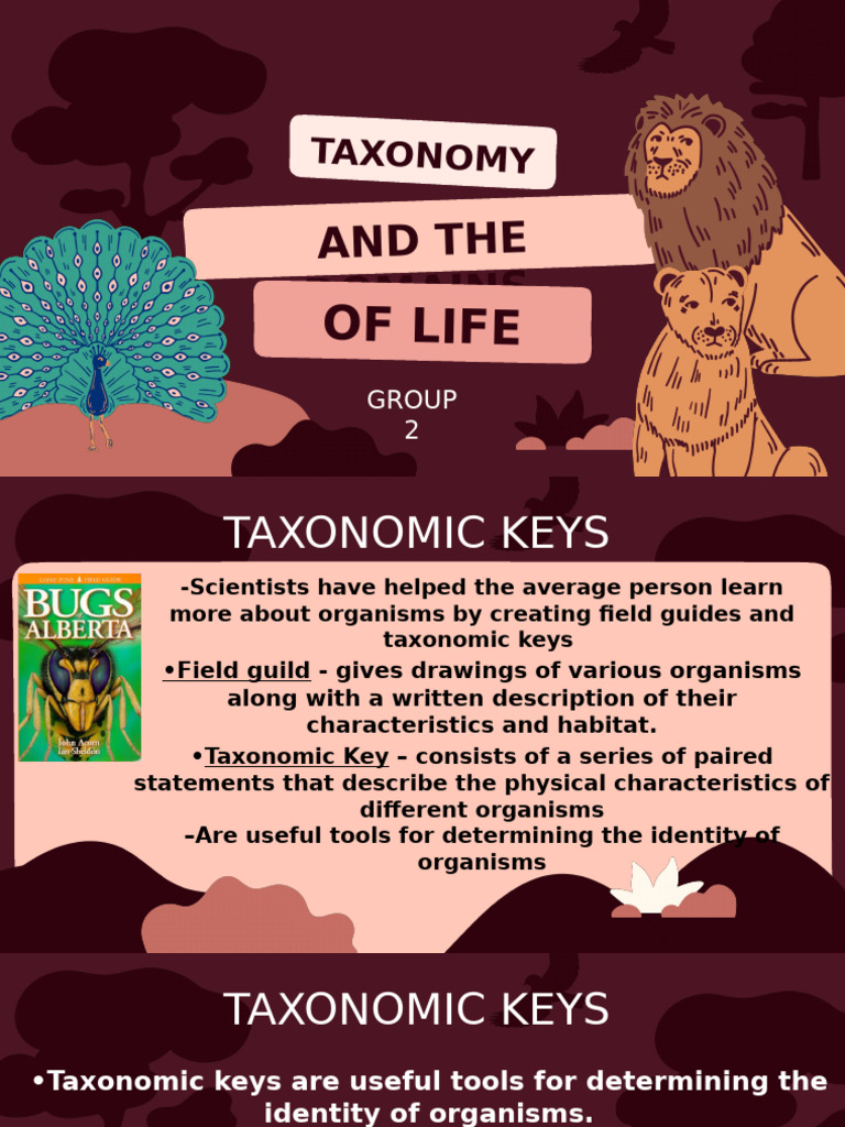 Taxonomy Basics for Students | PDF | Eukaryotes | Cell (Biology)