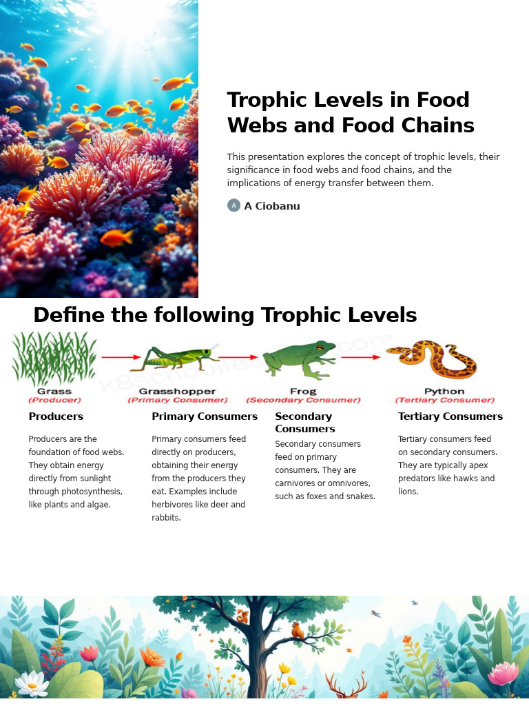 Trophic Levels in Food Webs and Food Chains | PDF | Food Web | Herbivore
