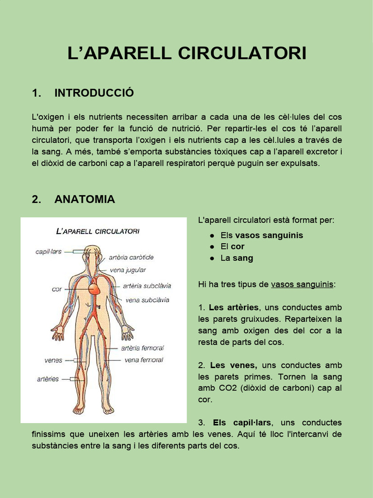 2.3.-laprell-circulatori | PDF