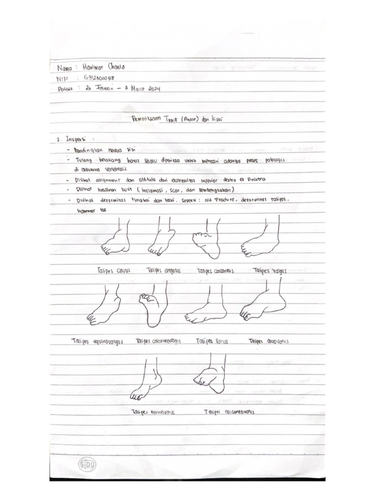 Referat Pemeriksaan ROM Ekstremitas Bawah_Hanimar Chania_G992302058 | PDF