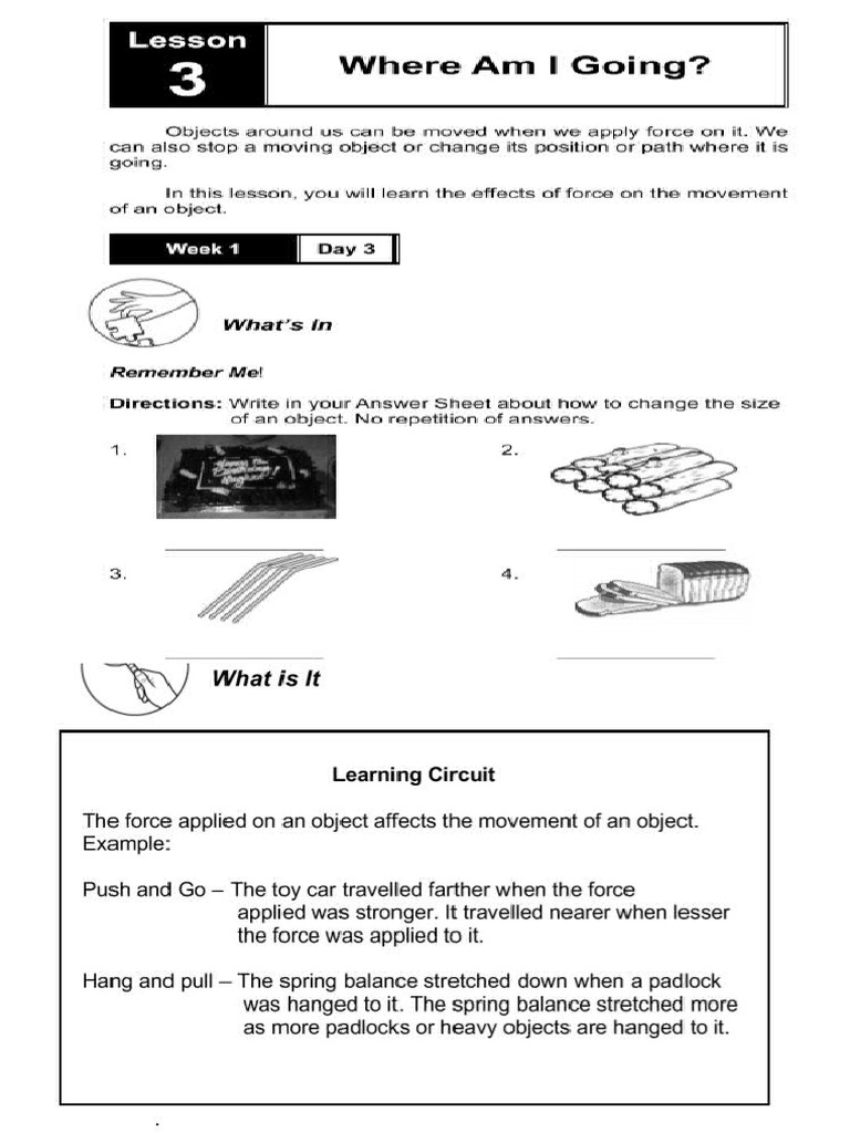 Science Lesson 3 Front | PDF