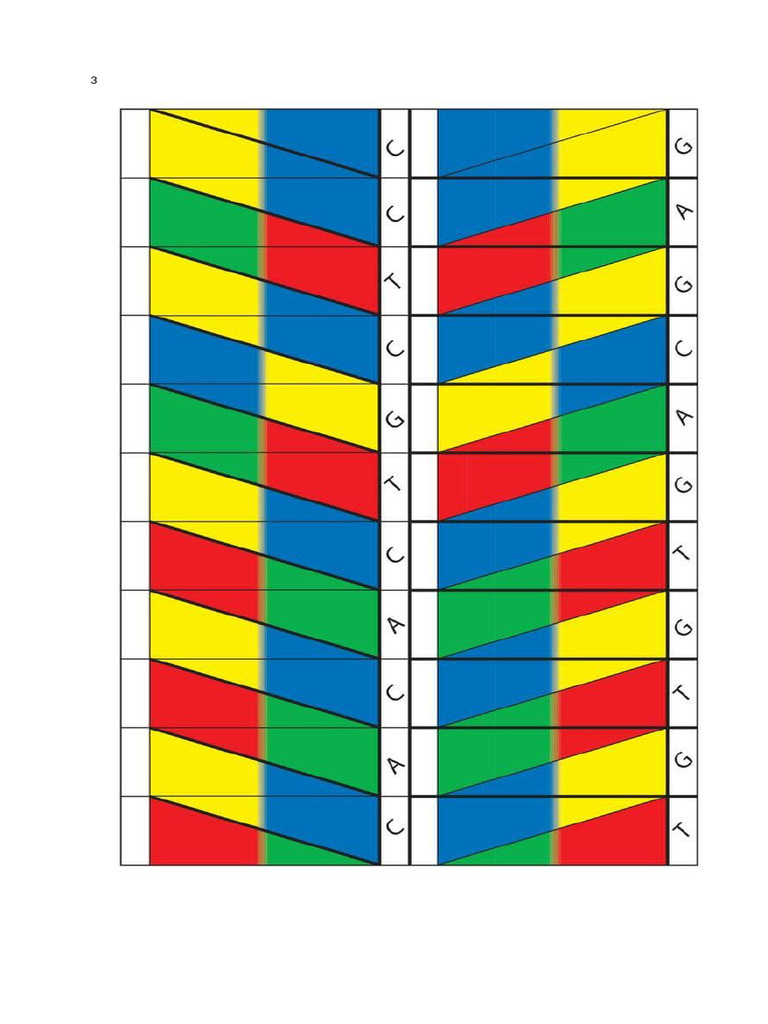 DNA Pattern Origami | PDF