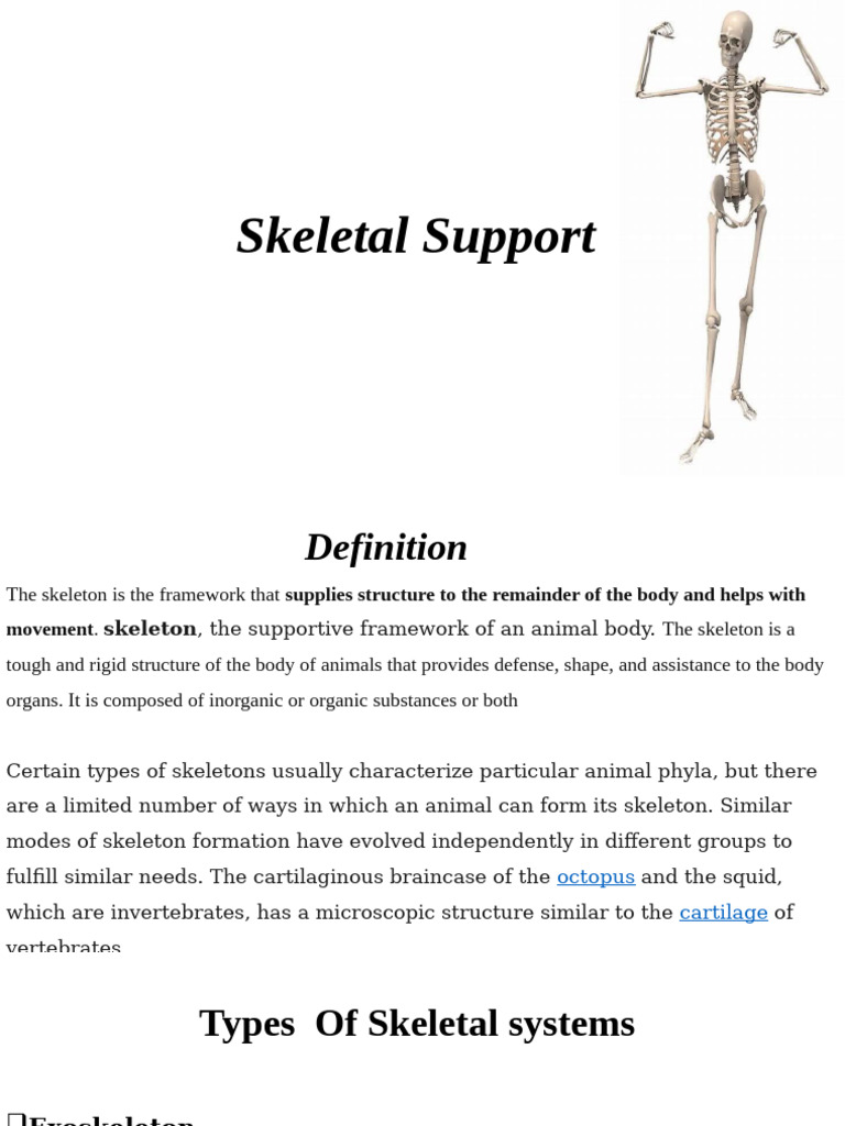 Skeletal Support | PDF | Skeleton | Bone