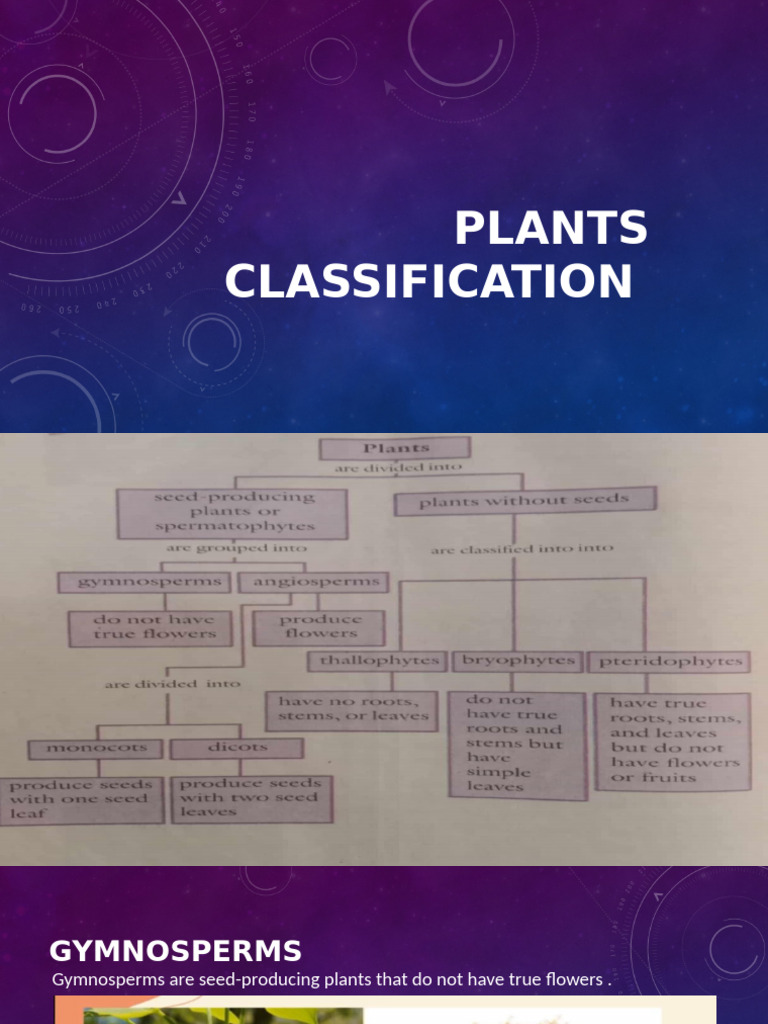 Plant Classifications Rangis | PDF