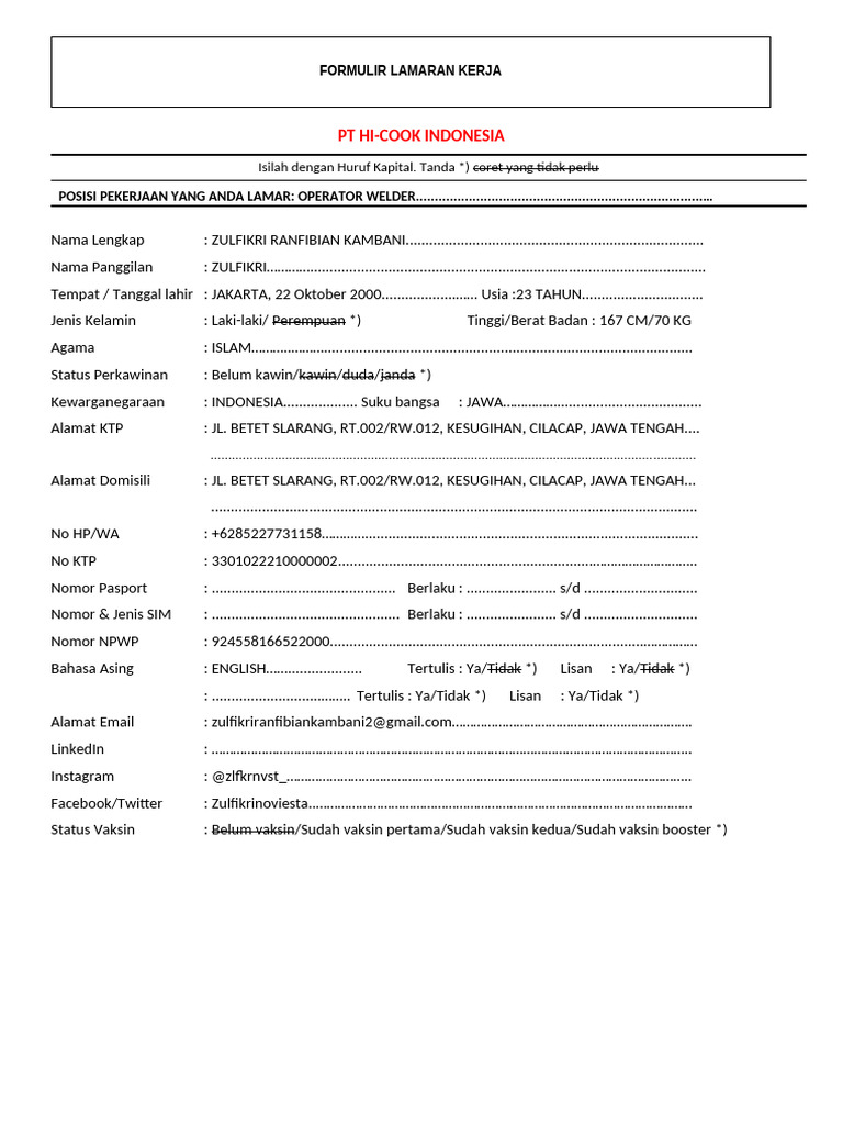 2024 Form Lamaran Kerja Hicook Salinan | PDF
