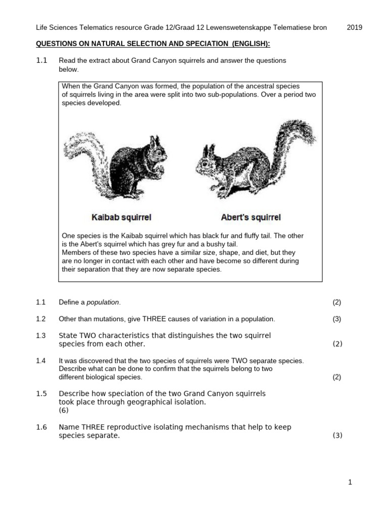 Questions On Natural Selection and Speciation | PDF | Species | Natural Selection