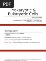 Prokaryotic Cells Revision Notes - A-Level Biology CIE - Cognito | PDF