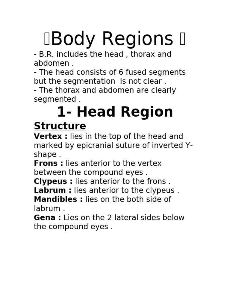 Body Regions | PDF