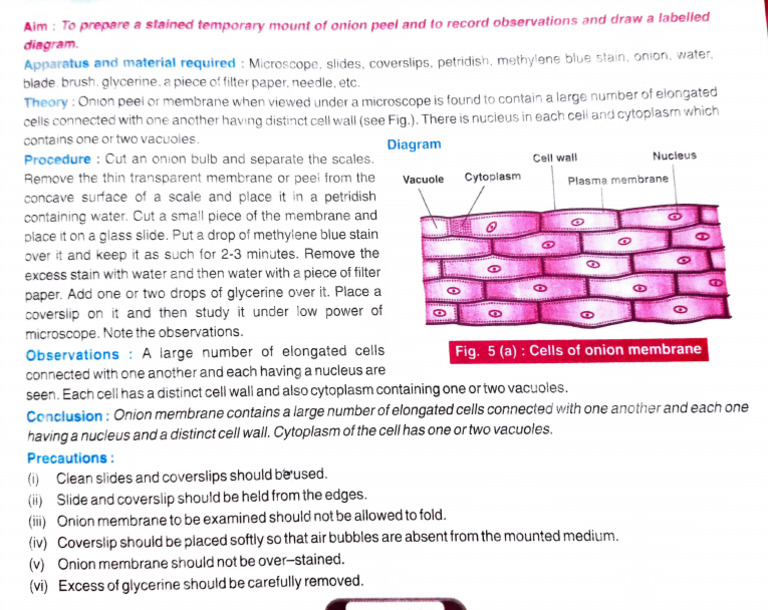 bio exp | PDF | Laboratory Techniques | Cell Biology