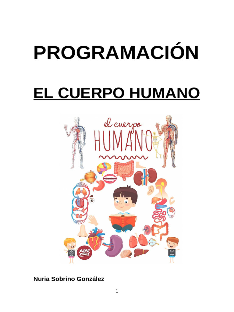 PROGRAMACIÓN DID | PDF | Aprendizaje | Maestros