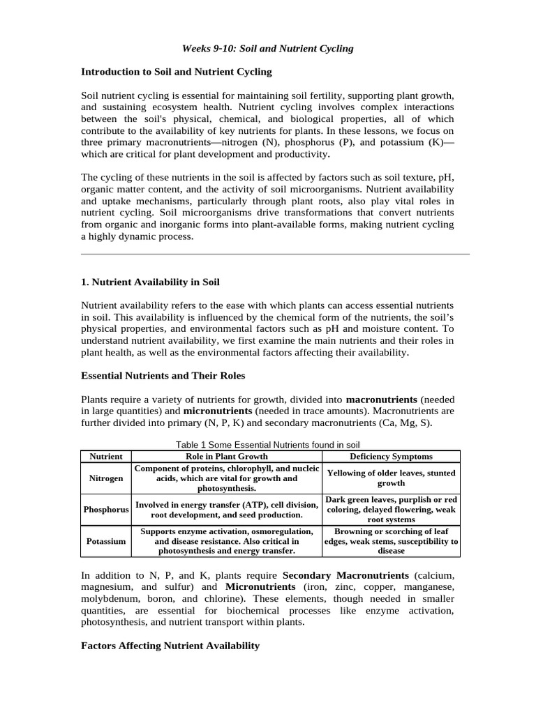 Soil and Nutrient Cycling | PDF | Plant Nutrition | Soil