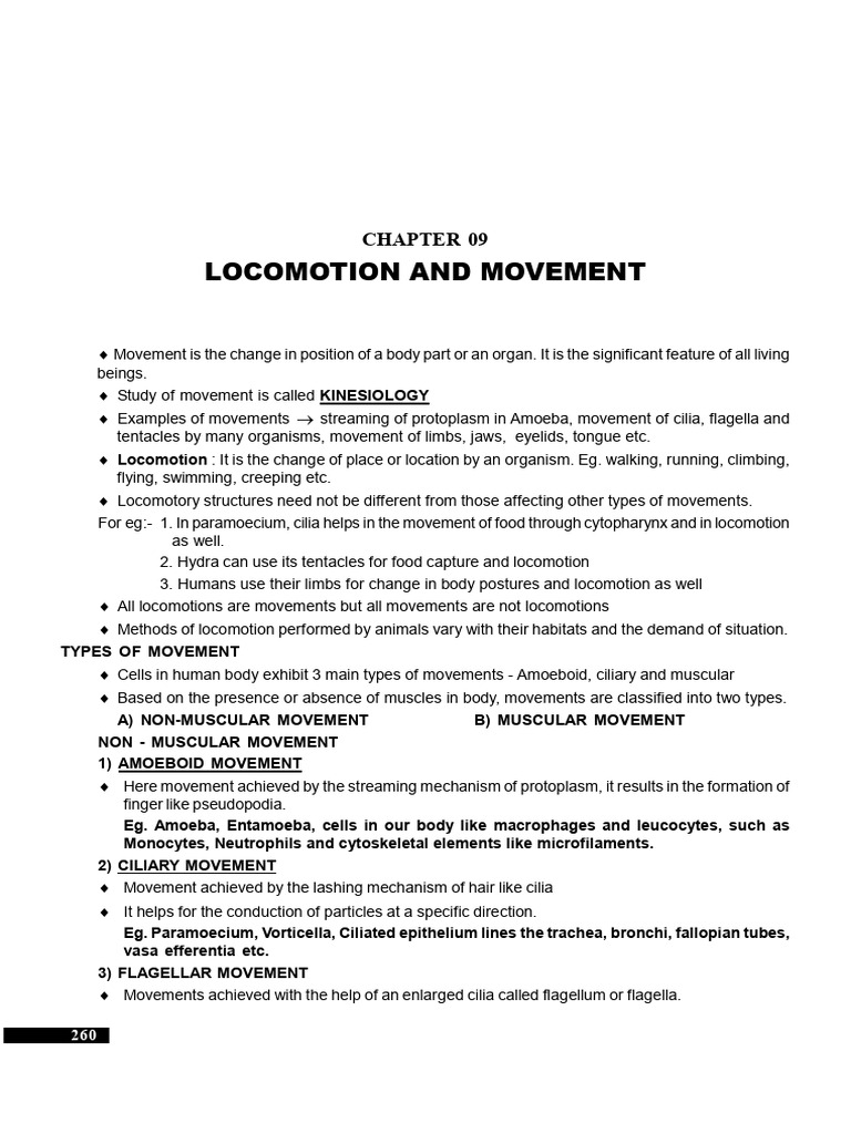 Locomotion & Movement (Lecture Note) | PDF | Vertebra | Vertebral Column