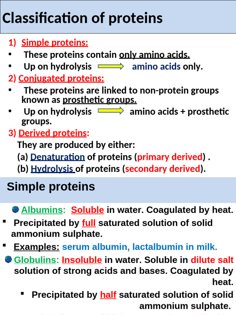 Lecture 3 Protein Last | PDF | Denaturation (Biochemistry) | Proteins