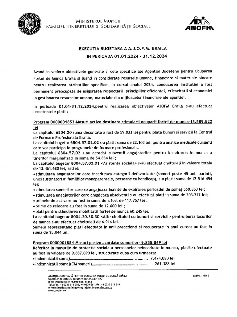 Executia Bugetara La 31.12.2024 | PDF