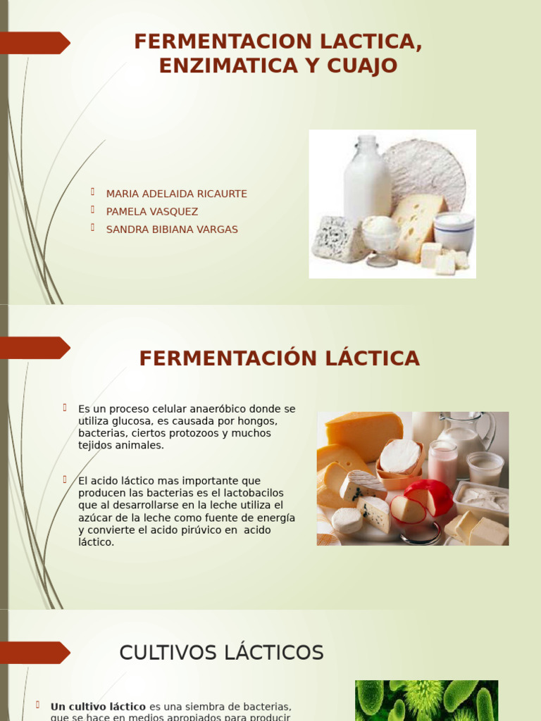 Fermentación Láctica y Enzimas en Lácteos | PDF | Enzima | Fermentación