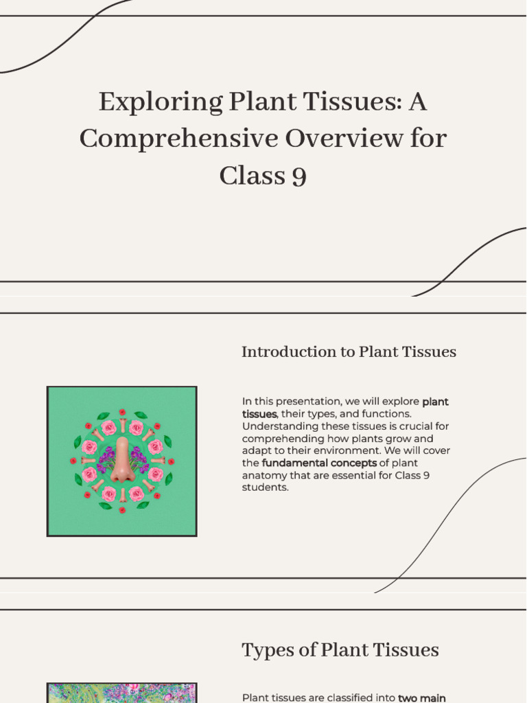 Slidesgo Exploring Plant Tissues A Comprehensive Overview For Class 9 ...