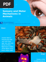 Coordination and Response - IGCSE Biology Notes (2020) | PDF | Synapse ...