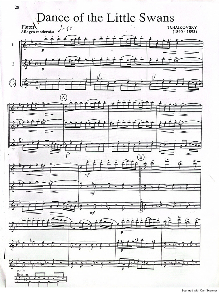 Dance of the little swans | PDF