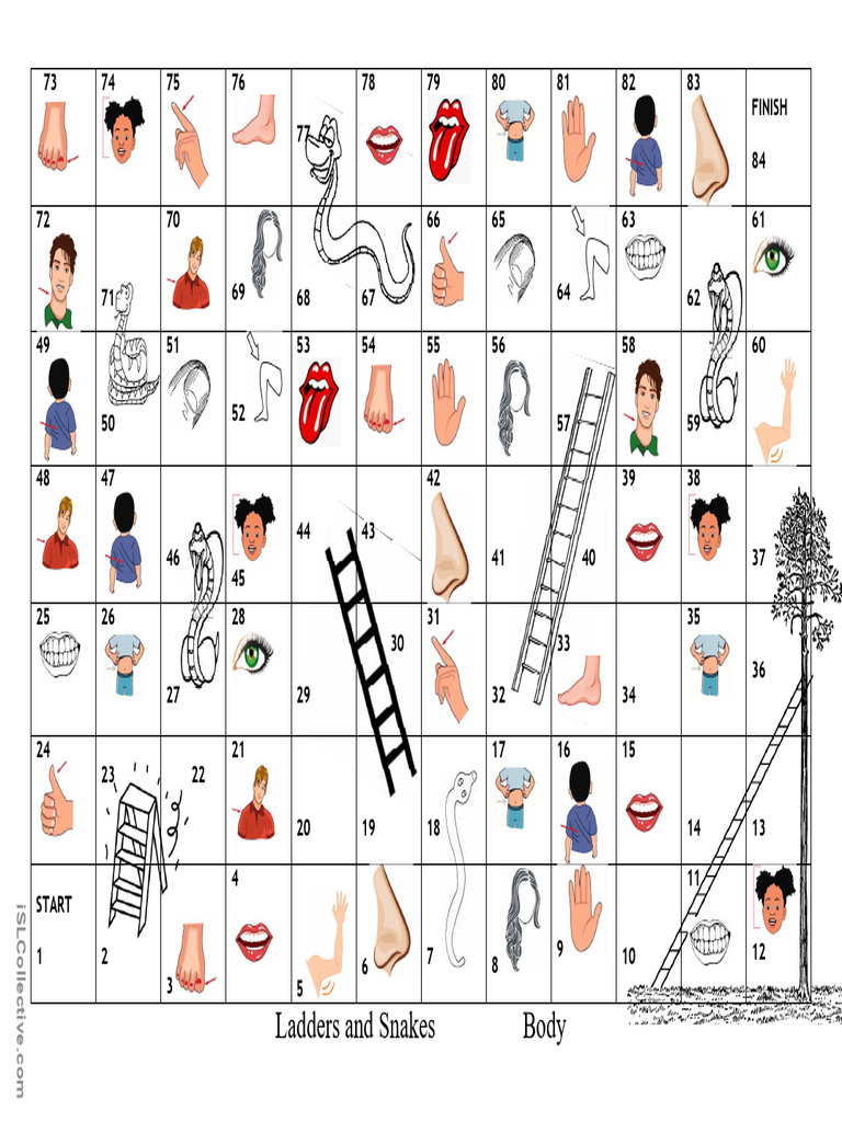 Snakes and Ladders Game Guide | PDF