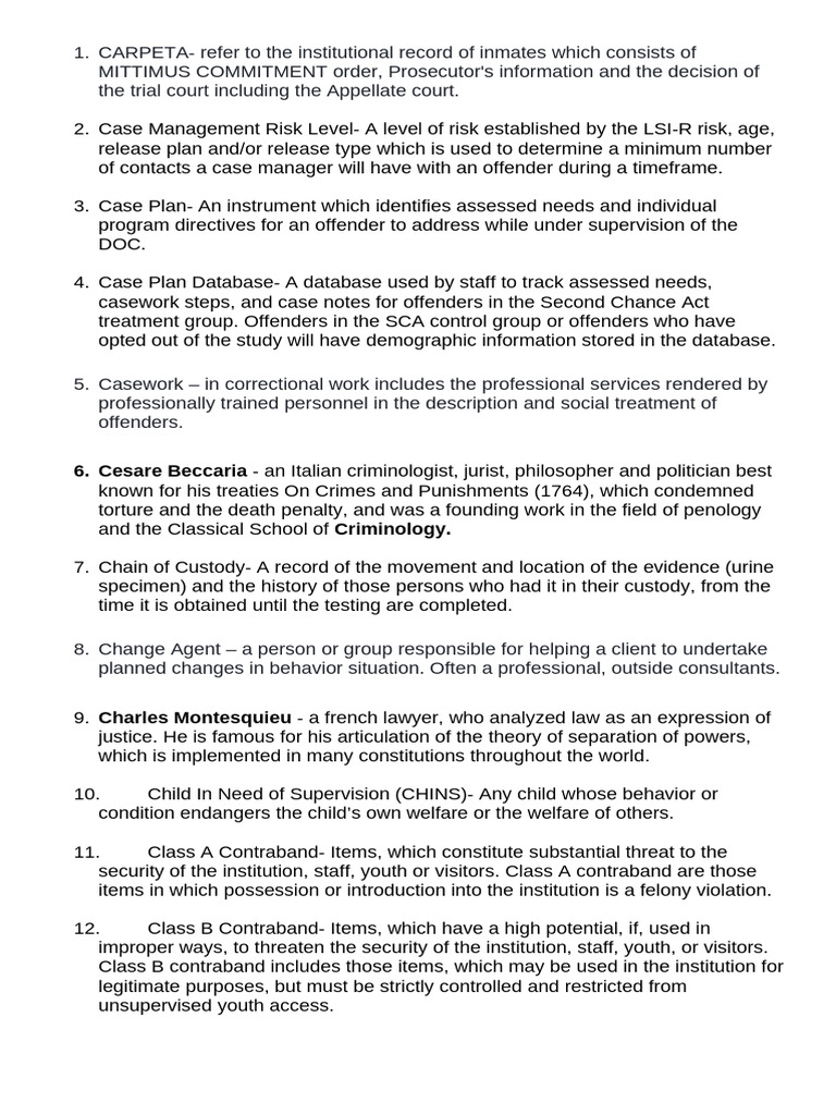 Updated-DOT-IC | PDF | Juvenile Delinquency | Prison