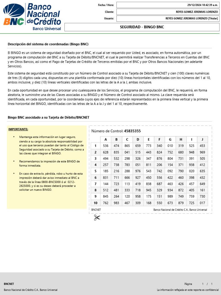 Sistema de Seguridad BINGO BNC | PDF | Tarjeta de débito | Informática