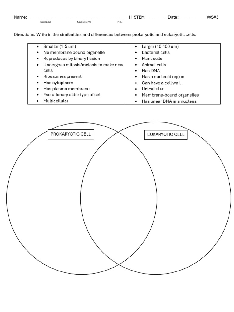 Prokaryotic vs Eukaryotic Cells Comparison | PDF