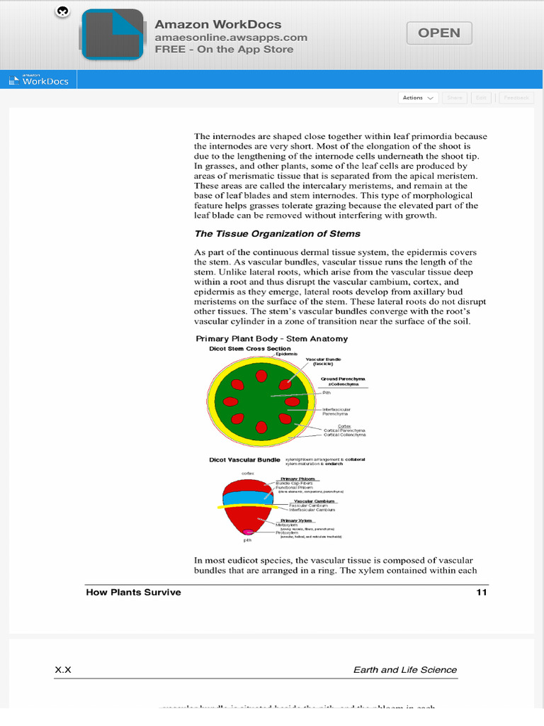 Amazon WorkDocs | PDF