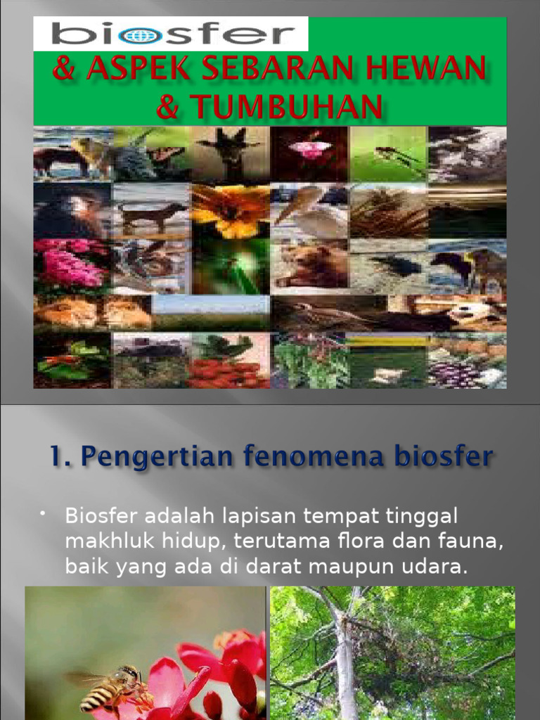 Biosfer (Hewan Dan Tumbuhan) | PDF