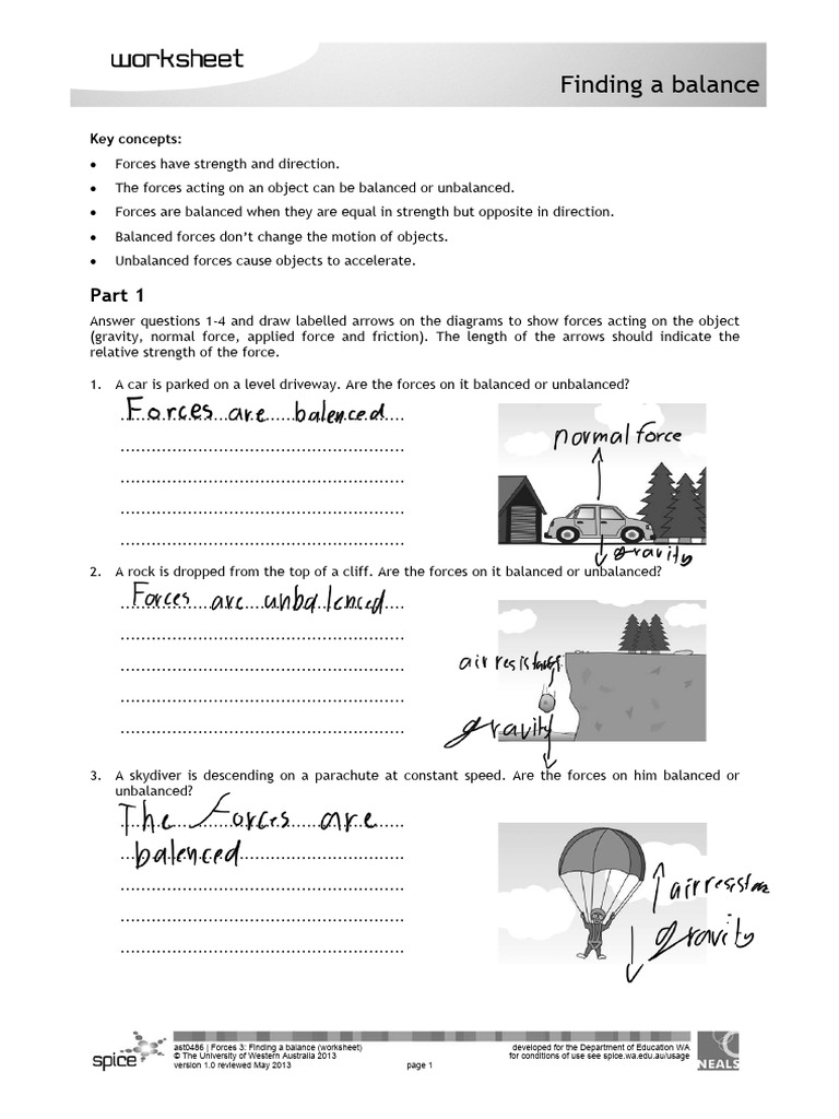 Worksheet Finding A Balance | PDF | Force | Physical Phenomena