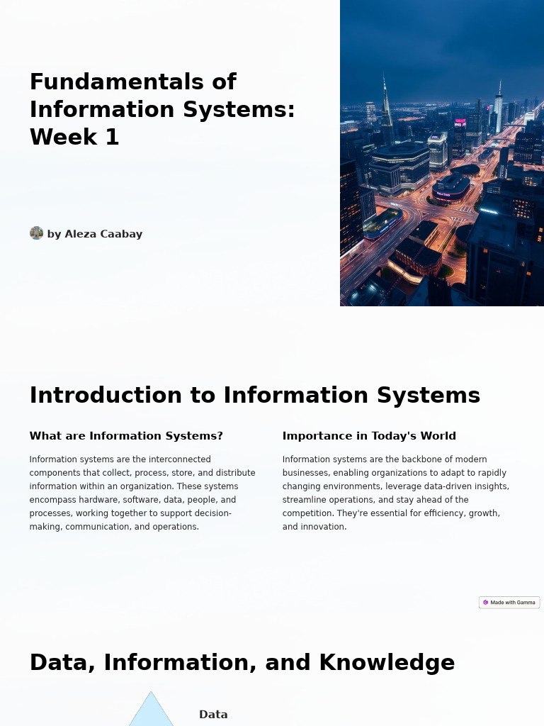 Fundamentals of Information Systems Week 1 | PDF | Information | System