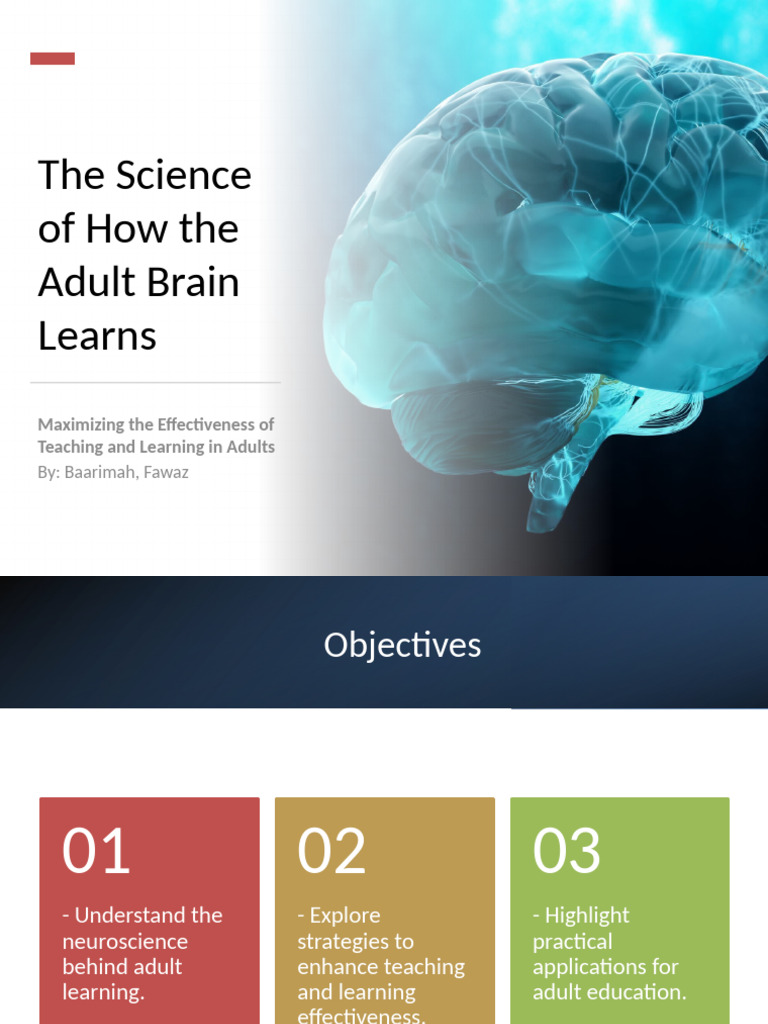 The Science of How The Adult Brain Learns and How To Maximize ...
