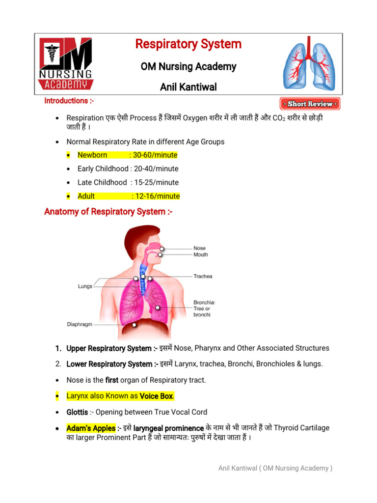 Respiratory Mind Mapping Points | PDF