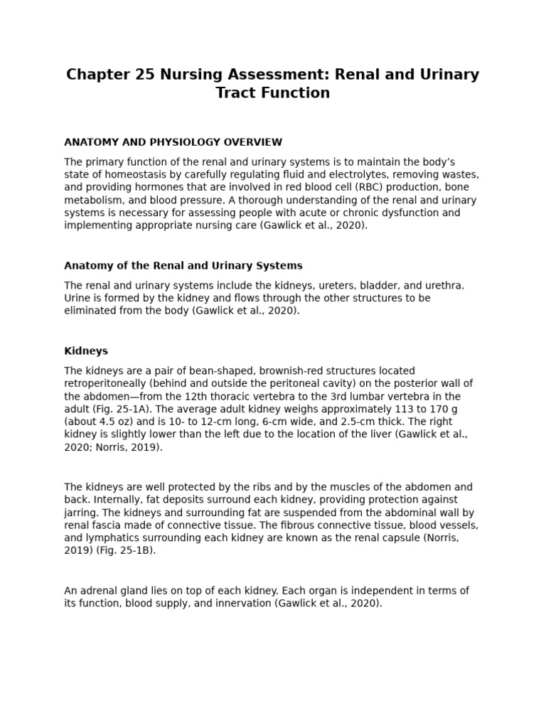 Renal and Urinary Function Assessment | PDF | Kidney | Urinary System