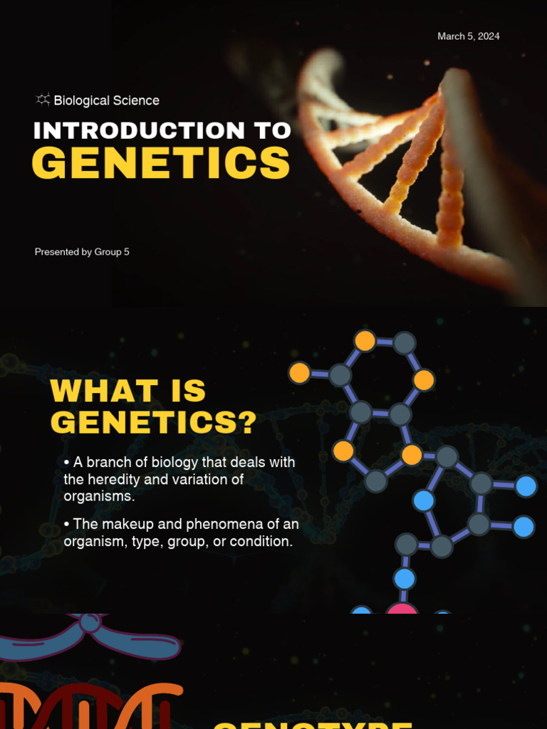 Group 5introduction To Genetics | PDF | Dominance (Genetics) | Zygosity