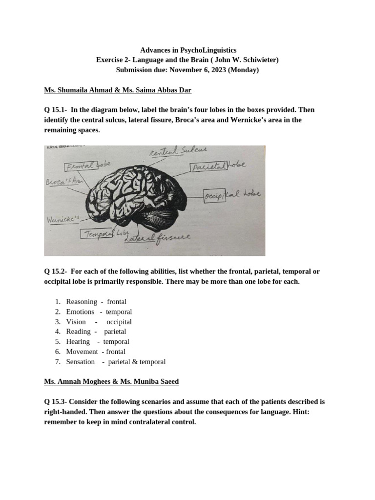 PsychoLinguistics Exercise 2 | PDF | Lateralization Of Brain Function ...