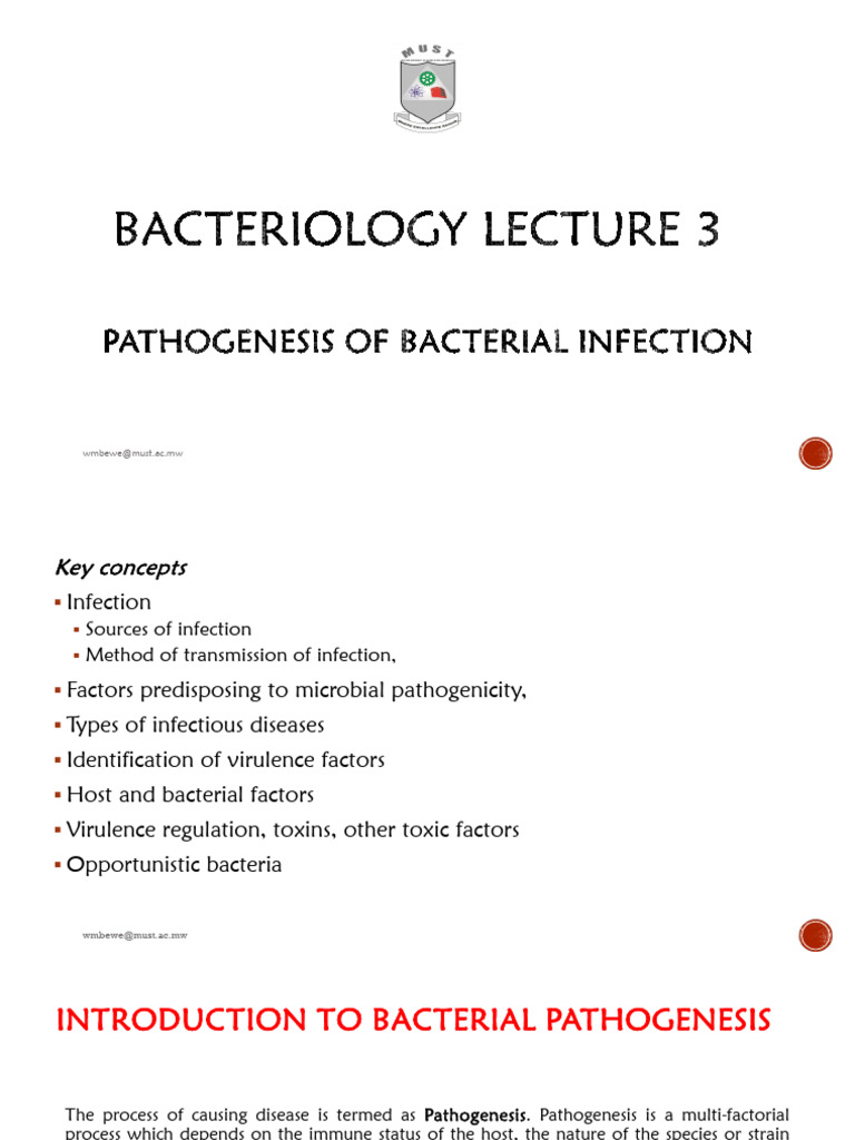 Lecture 4; Pathogenesis of Bacterial Infection | PDF | Infection | Bacteria