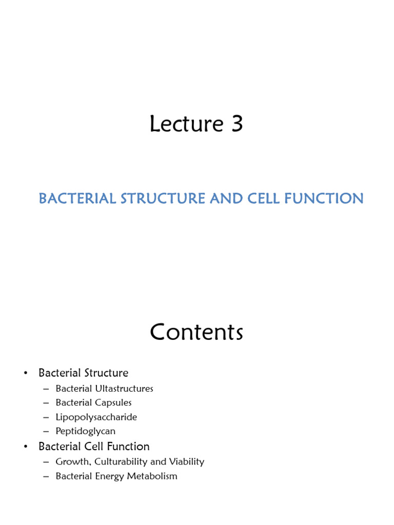 Bacterial Structure and Function Overview | PDF | Lipopolysaccharide | Bacteria