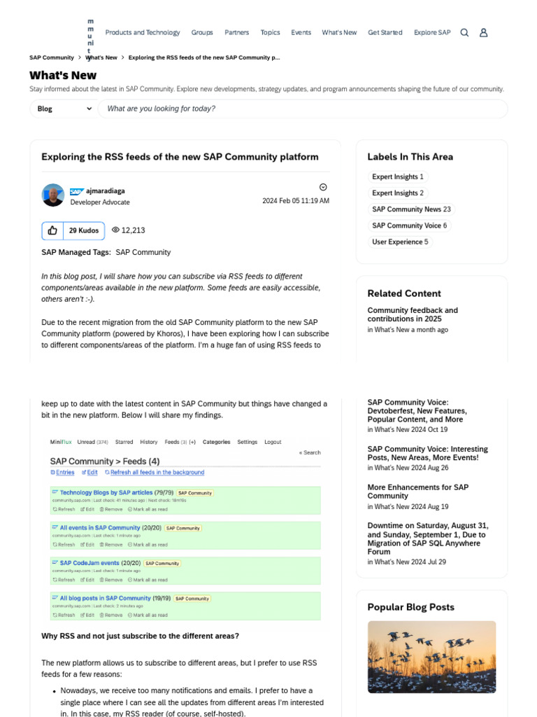 SAP Community RSS Guide | PDF | Tag (Metadata) | Computing