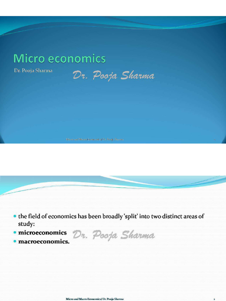 2 Micro Economics | PDF