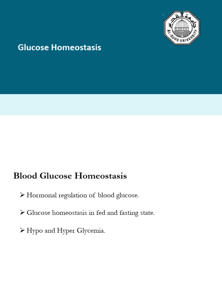 Glucose Homeostasis | PDF | Glucose | Insulin