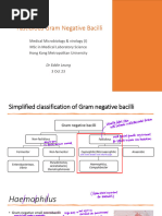 Small Pleomorphic Gram-Negative Bacilli | PDF | Gram Negative Bacteria ...