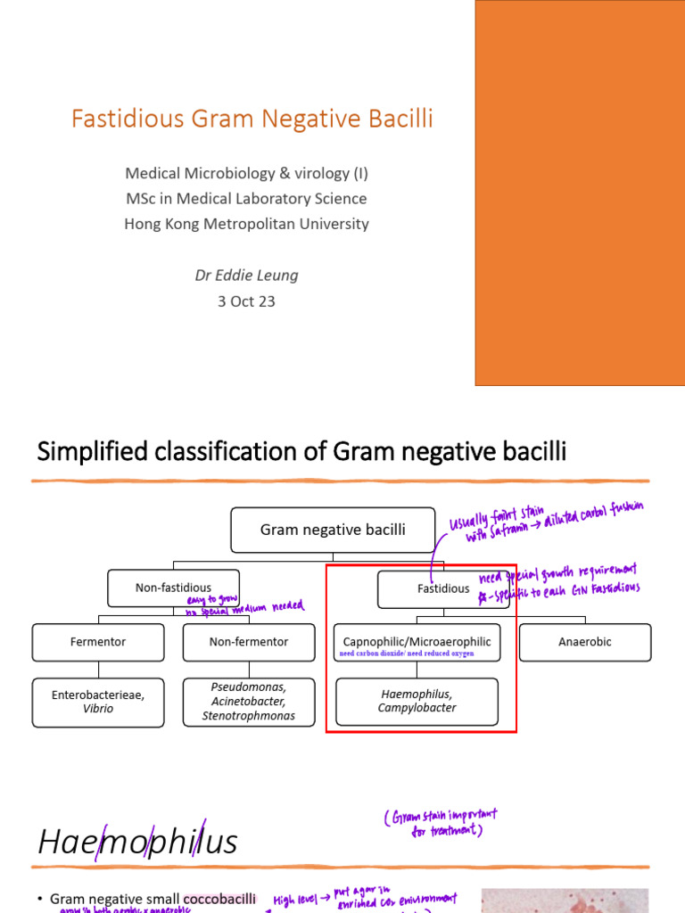 L5 Fastidious Gram Negative Bacilli_2023 | PDF | Lyme Disease | Mycoplasma