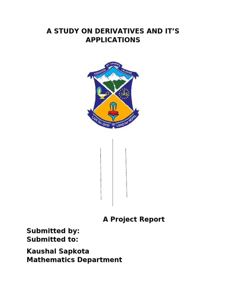 Maths Project | PDF | Derivative | Calculus