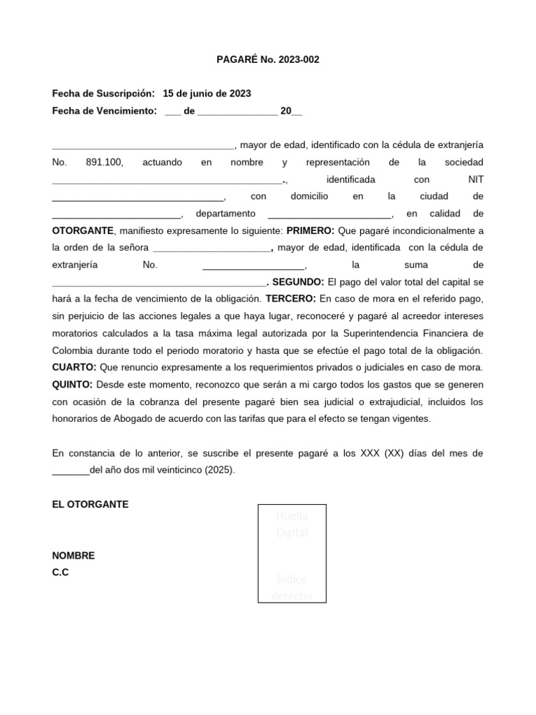 Pagaré y Carta de Instrucciones | PDF