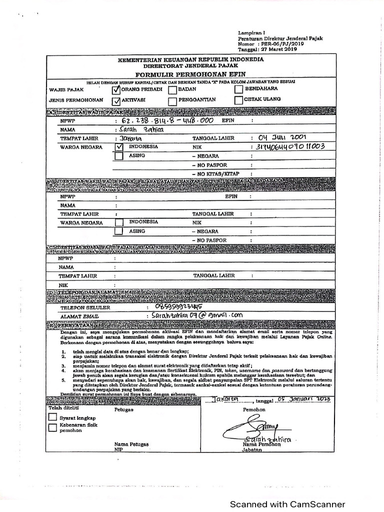 Formulir Permohonan Efin | PDF